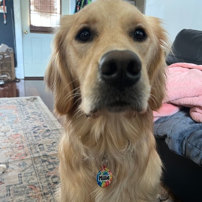 Retro Smiley Dog Tag Retro Dog Tag Pet Tag Custom Dog Tag Personalized ...