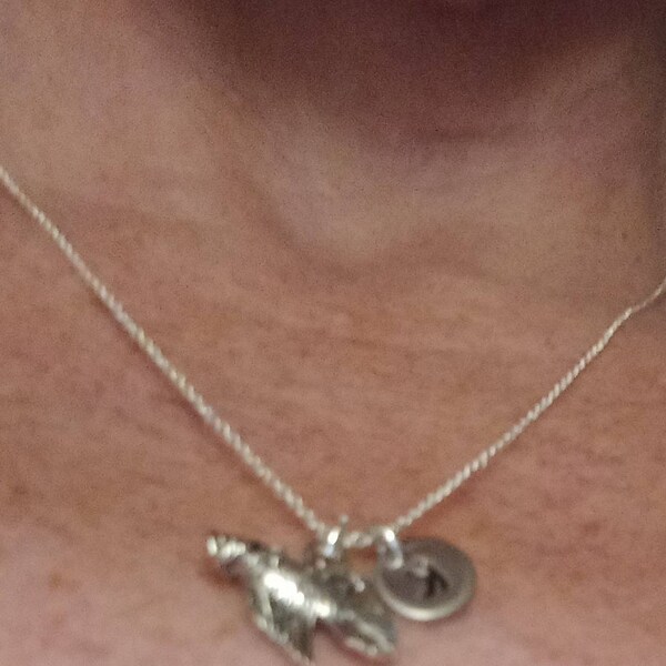 Betta Fish Initial Necklace - Betta Fish Jewelry, Fighting Fish ...
