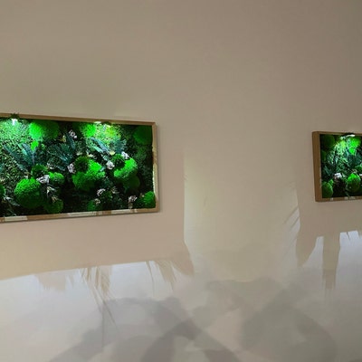 Beautiful Preserved Moss Artwork With LED Lights Live Moss LED Wall Art ...