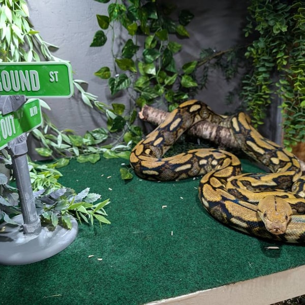 FAFO Sign - Etsy