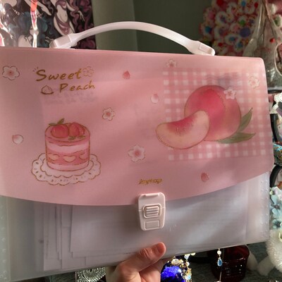 Cute Pink Peach File Folder 13 Pocket Folder Decorative Document Keeper ...