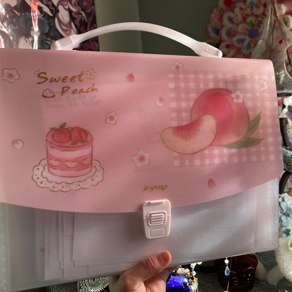 Cute Pink Peach File Folder 13 Pocket Folder Decorative Document Keeper ...
