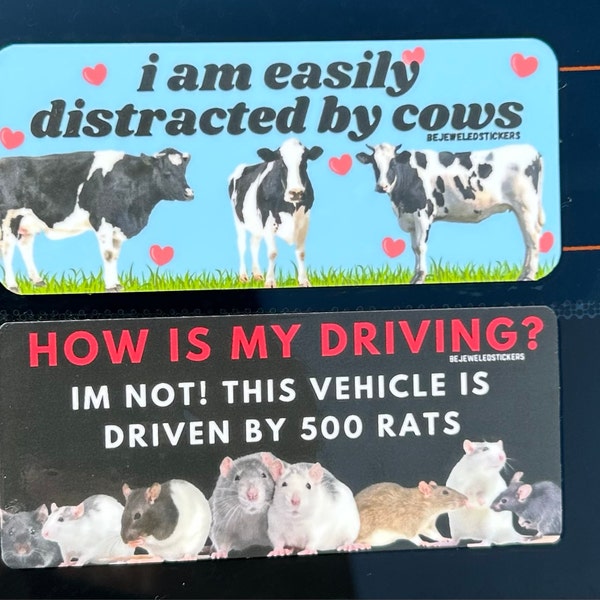 I Am Easily Distracted by Cows | Funny Cute Cow Lover Aesthetic Sticker ...