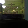 8x6x5" Round Crown Tiara Display Case With Velvet Cushion for Pageant ...