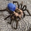 Realistic Tarantula Spider Poseable Shelf Decor Wall Mountable Faux ...