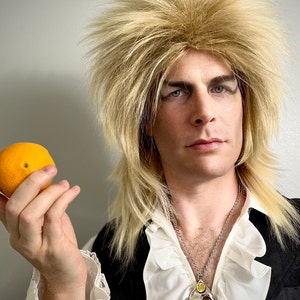 Jareth Goblin King Bowie Wig .. Unisex .. Long Rocker Style Wig .. 80's ...
