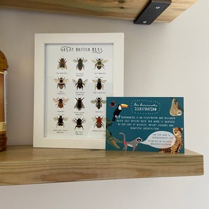 Great British Bees, Bumblebee Print, Bee Poster, Bee Identification ...
