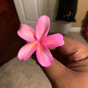 Fiji Sennit Magimagi Kafa Afa Aha by Lauhala Trading - Etsy