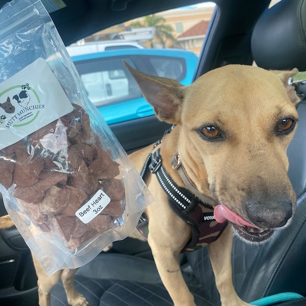 Air Dried Dog Chew for Dogs Air Dried Steer Ear Dog Chew Treat - Etsy