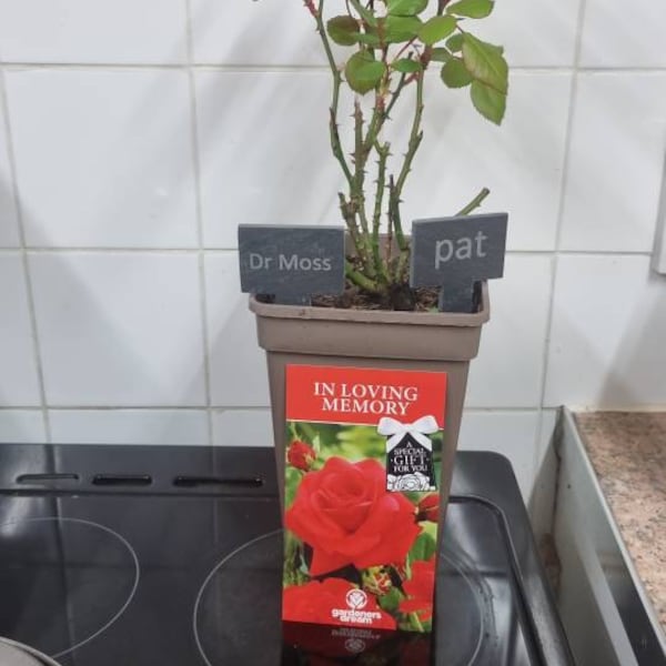 In Loving Memory Rose - Say Goodbye to Someone Special With a Unique ...