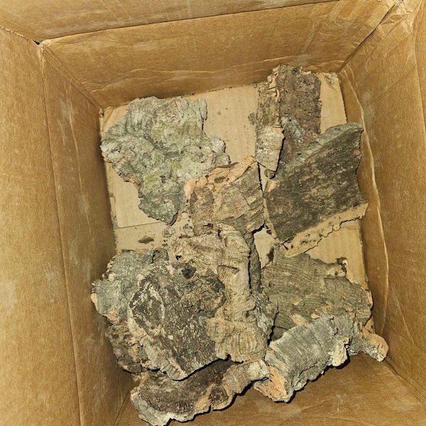 Bulk Cork Bark Flats - Terrarium Vivarium Orchid Air Plant Mount ...