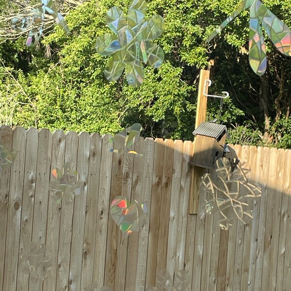 Bigfoot Prism Window Clings~set of 12~prevent Bird Strikes~static Cling ...