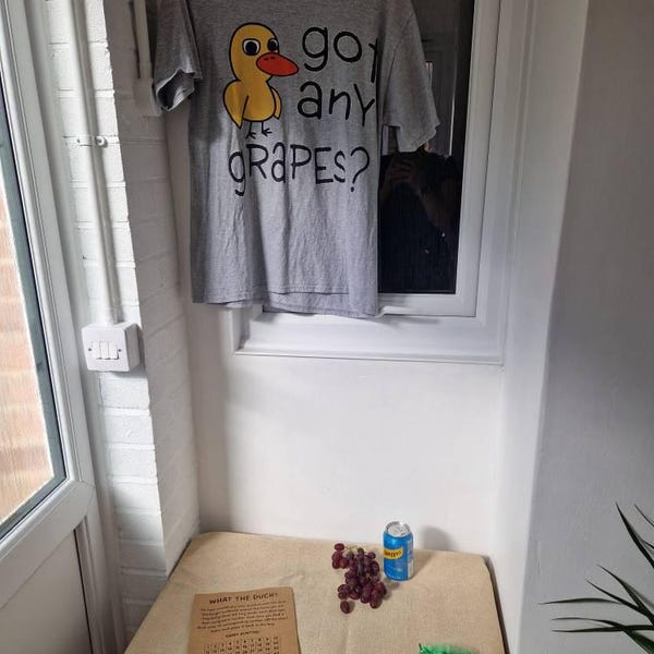 100 Duck Challenge Kit, Hide-a-duck Kit, Miniature Duck Scavenger Hunt ...