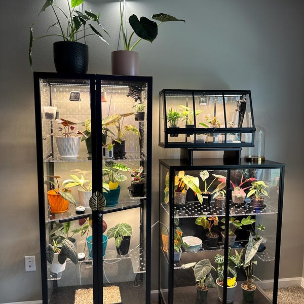 Milsbo Tall Acrylic Skadis Pegboard and Accessories - Etsy