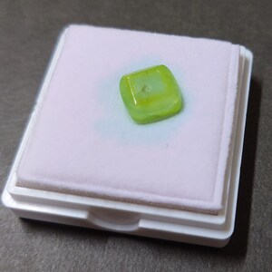 Neolite Gemstonetop Quality Neolite Cabochonsneolite Semi - Etsy