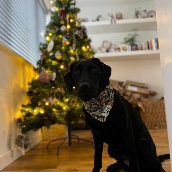 Daisy Garland Crochet Flower Bunner Kids Art Display Daisy Wall Decor ...