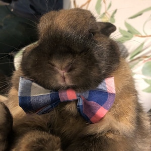 Handmade Crochet Amigurumi Plush Doll tico the Racoon | Etsy