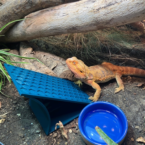Reptile Climbing Ramp, Bearded Dragon Basking Platform, Rock Wall ...
