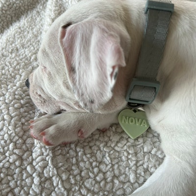 Cloud Pet Tag, Lightweight Custom 3D Printed Tags - Etsy