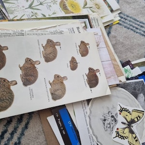 Moon Phases Washi Strip Astrolabe Stickers Antique Map | Etsy