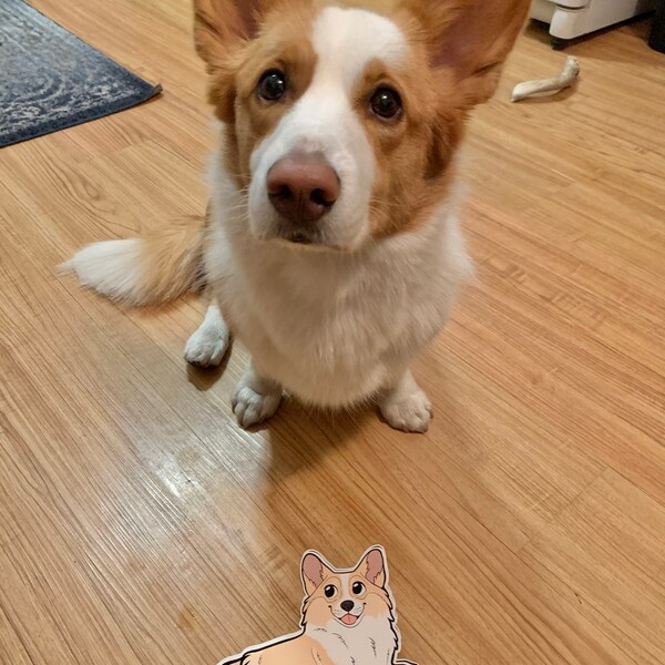 Cardigan Corgi Sticker || Chibi Puppy Dog, Vinyl, Hand Drawn ...