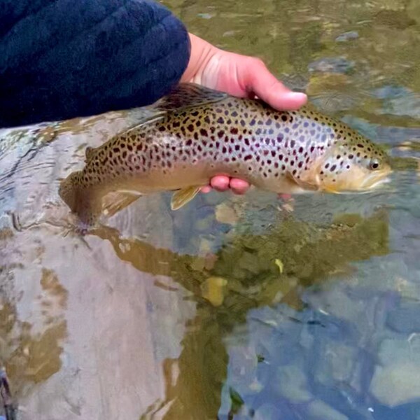 3x White Angel Streamer - Etsy