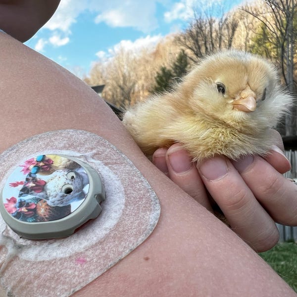 G7/ Franks 6 Pack / Dexcom G7 Stickers, Diabetes Stickers, Dexcom ...