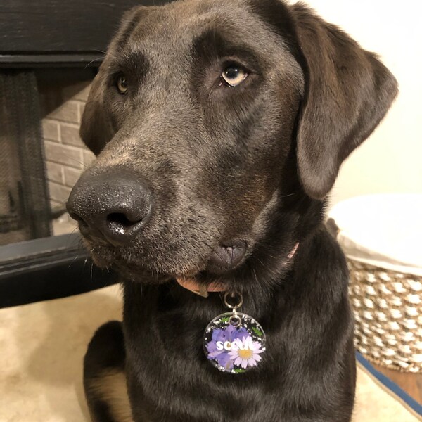 Matching Dog Tags and Keychain | Custom Dog Tag | Resin Dog Tag ...