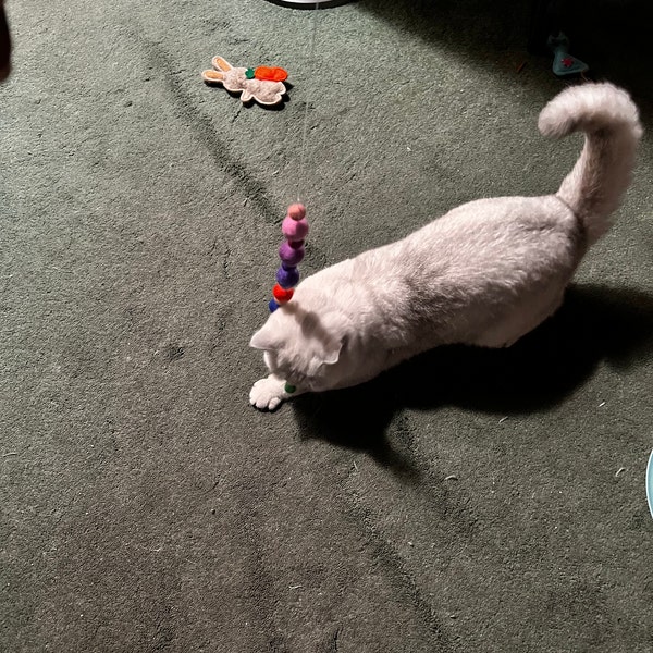 Customizable Felt Ball Fishing Cat Toy - Felted Balls on Knotted Cord ...