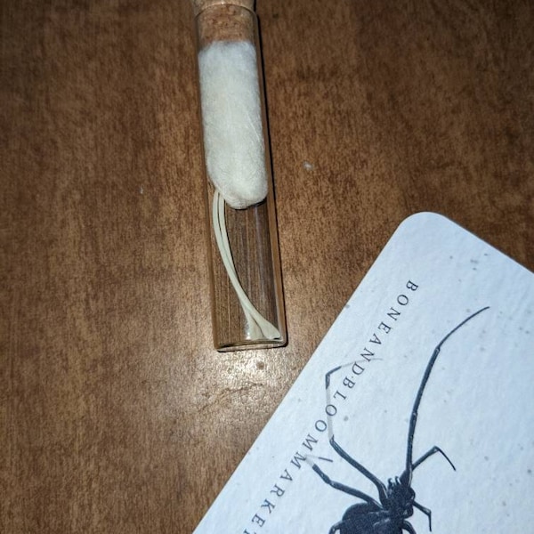 Real Moose Pellet in Glass Vial, Moose Poop, Animal Dung, Weird Gift ...