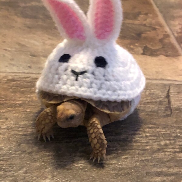Turtle Bunny Costume, Crochet Tortoise Sweater, Easter Pet Outfit - Etsy