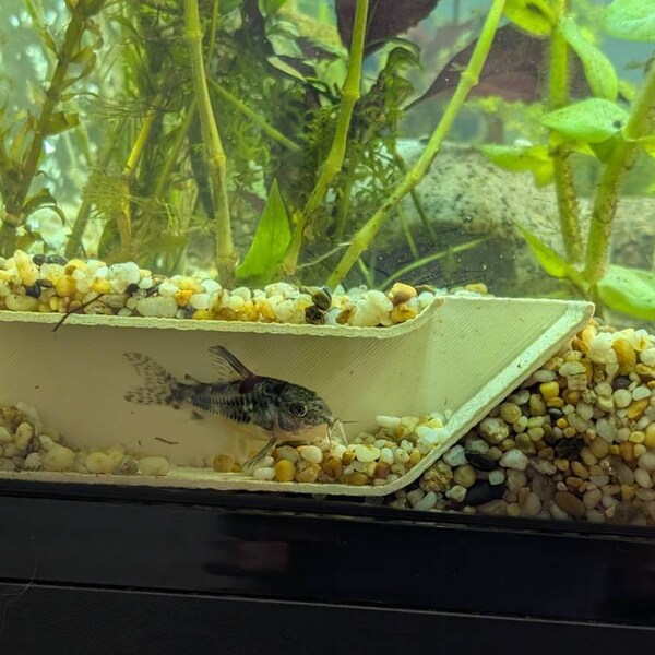 Natural Rock Corner Cave Hide Tunnel | Create an Adventure Zone for ...