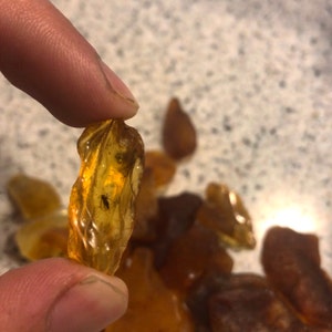 Raw White Baltic Amber Stone, Untreated Unpolished Amber Nugget From ...