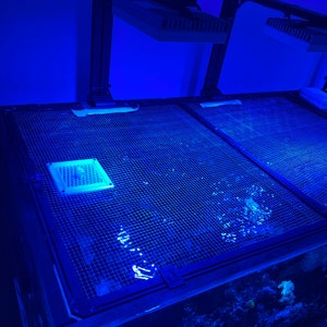 3 Tier Honeycomb Frag Rack System for 20g Long Aquarium - Etsy