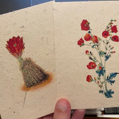 Plantable Seed Paper Postcards Eco-friendly Gift Variety 6 Pack - Etsy