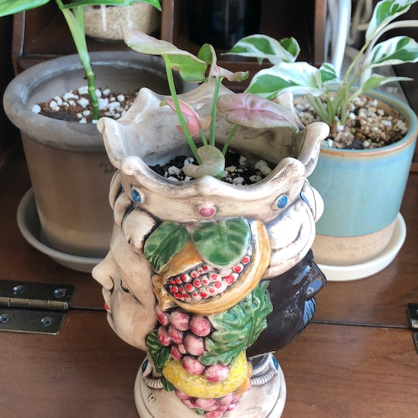 Sicilian Double Sided Head Vase - Etsy