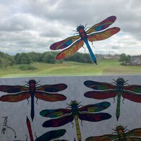 Flower Pots Window Stickers 10 Individual Colourful Flowers in Pots ...