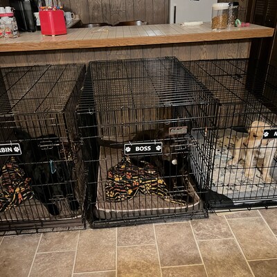 Free GUY Name Tag Non Playable Character Movie Cosplay Name - Etsy