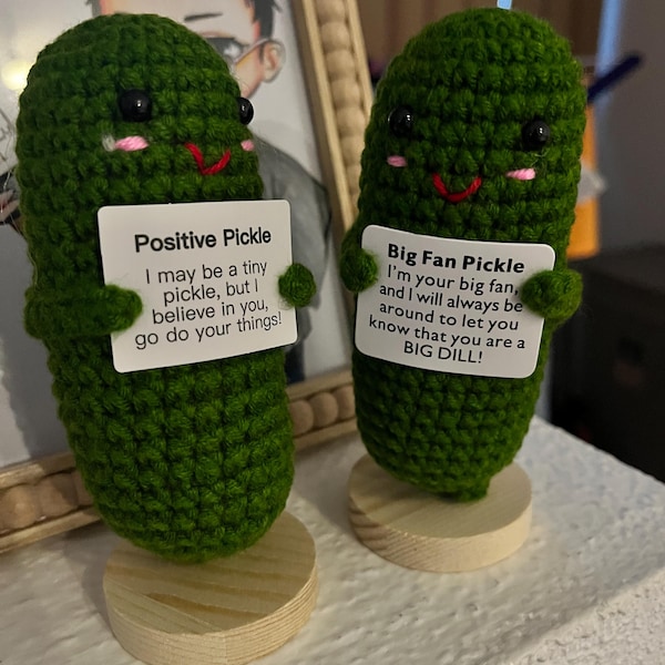 Emotional Support Pickle,positive Pickle,big Fan Pickle,handmade ...