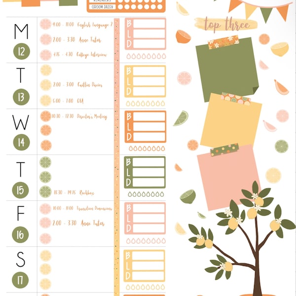 Procreate Brush Stamp Bundle for Mardi Gras | 11 Procreate Stamps ...