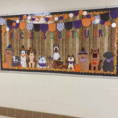 Welcome Back Back to School Owls Fall Bulletin Board Kit - Etsy