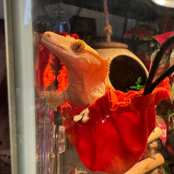 Gecko/lizard Hammock *the Original Banana Style Gecko Hammock :)* - Etsy