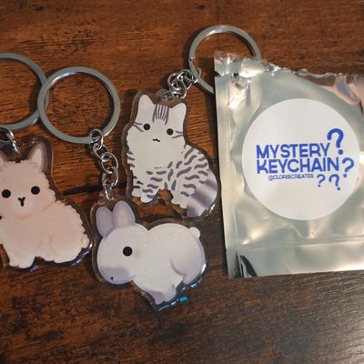 Freshwater Aquarium Shrimp Keychain Cartoon Exotic Crustacean Pet Art ...