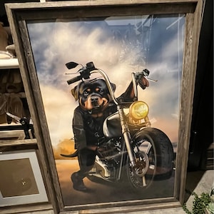 Biker Tabby Cat Riding Chopper Motorcycle Custom Poster - Etsy