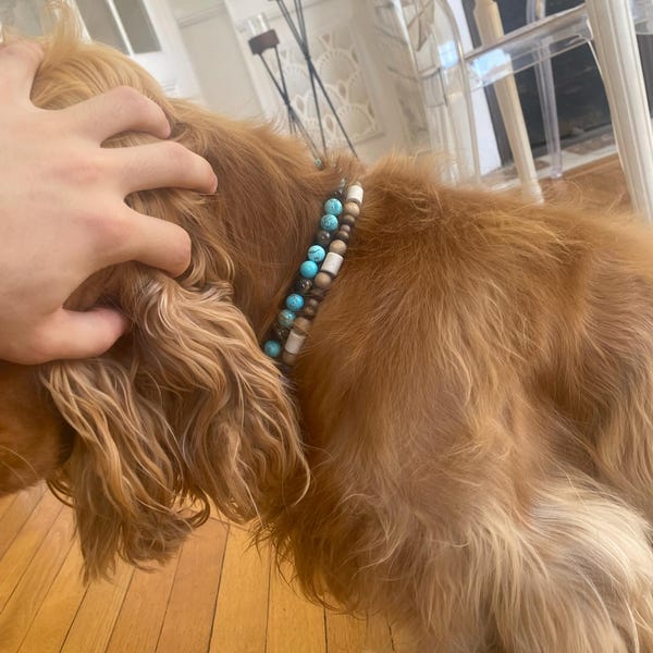 Collar Anti Tick and Fleas With Turquoise - Lithotherapy for Dogs - Etsy