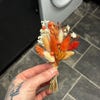 Burnt Orange Buttonhole Orange Dried Flower Boutonniere Autumn Themed ...