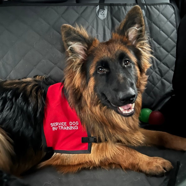 Emotional Support Cat Vest - Etsy