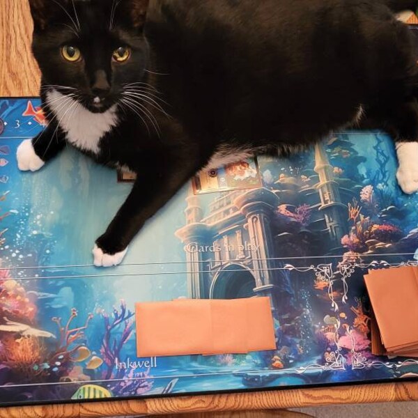 MTG Playmat | 24x14 Inch | the Round Table | Optional Zoning | TCG Play ...