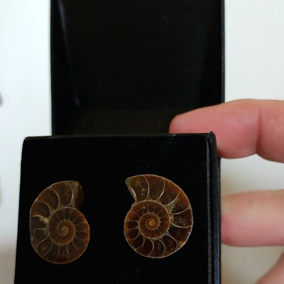 Ammonite Fossil Cufflinks. Golden Ratio, Men's Cufflinks. for Dad, Gift ...