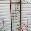 Brilliant Rays of the Sun With Moon...garden Trellis Plant Trellis ...